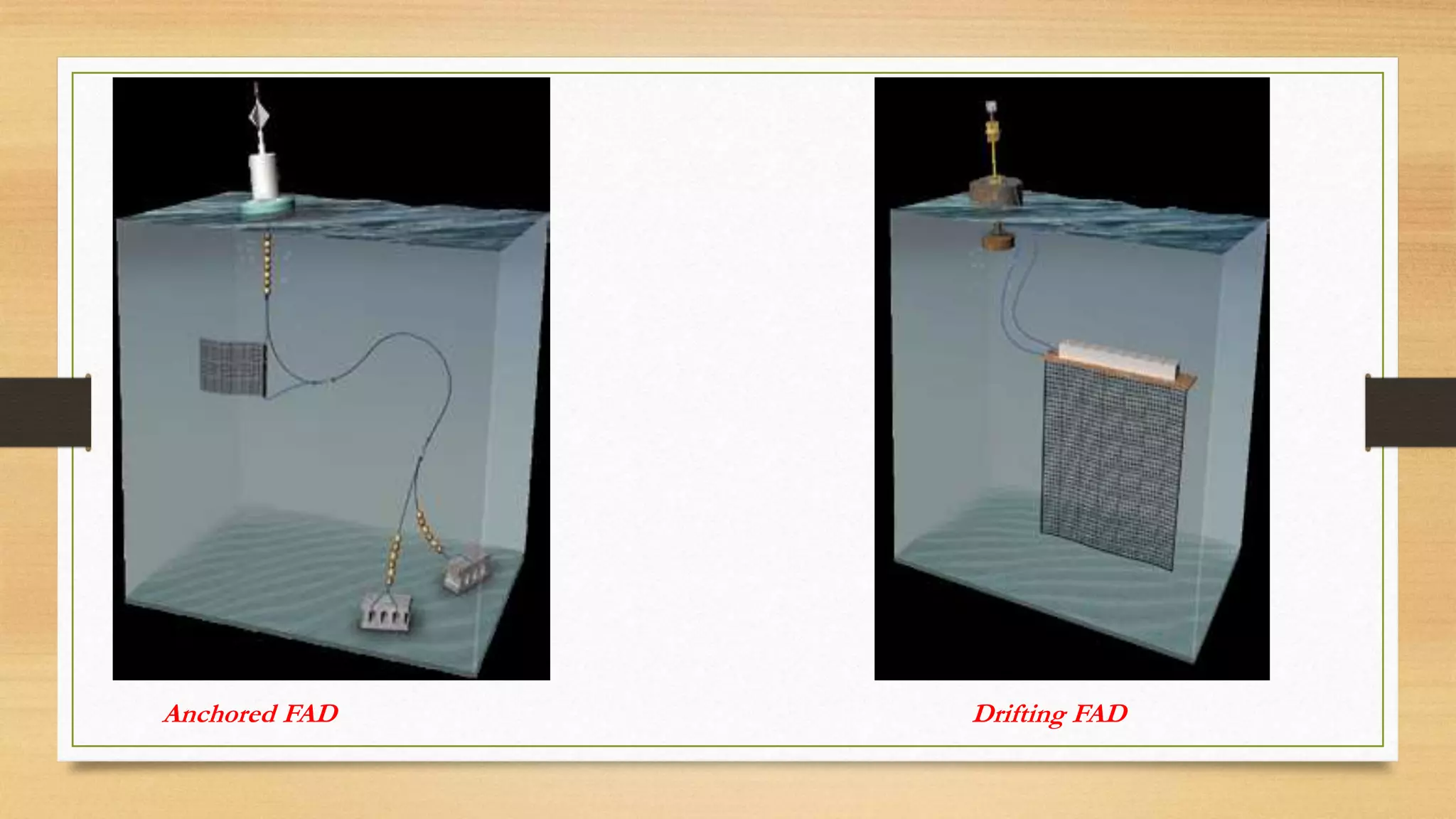 Fish aggrigrating devices(fad) | PPTX