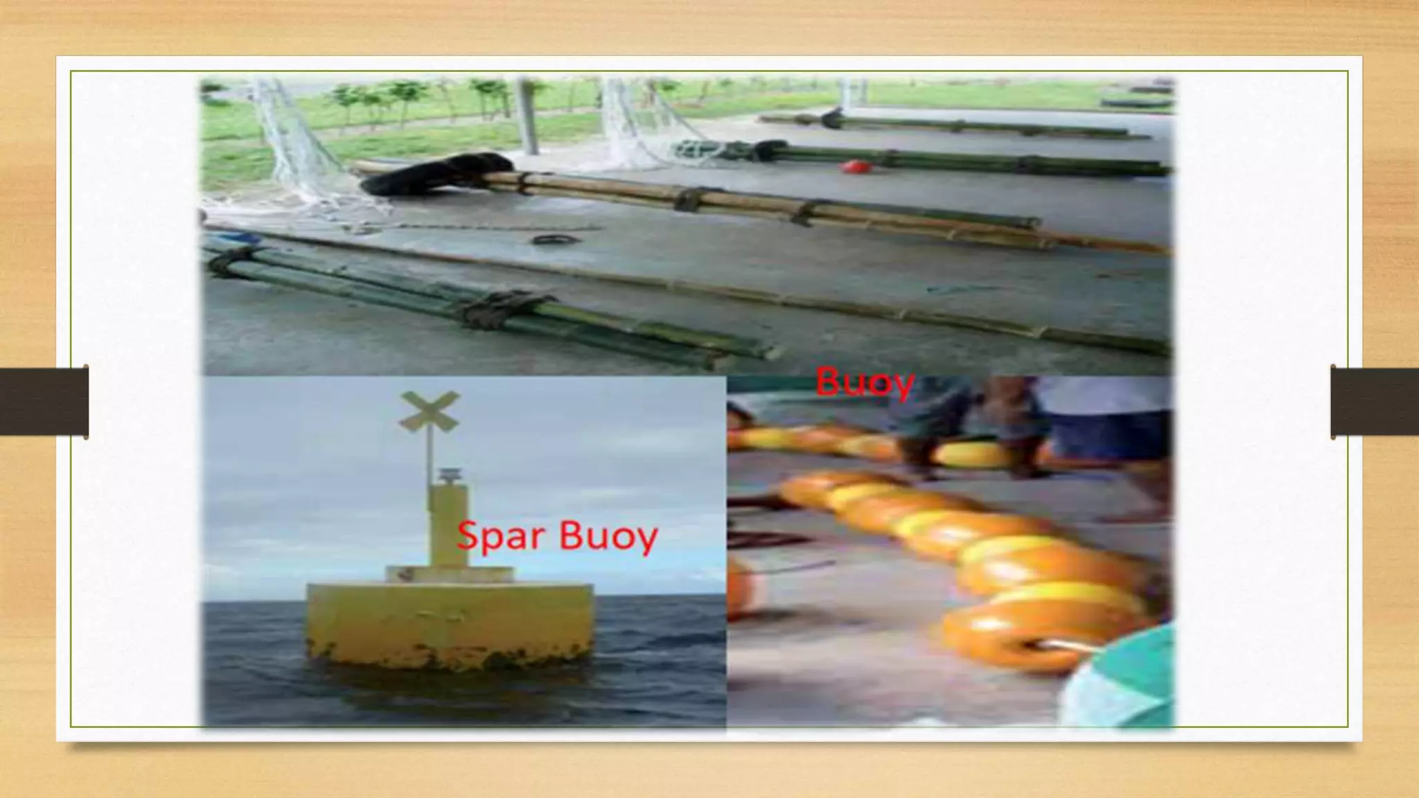 Fish aggrigrating devices(fad) | PPTX