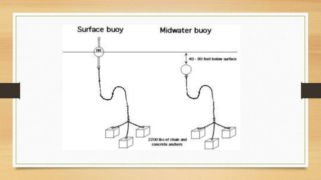 Fish aggrigrating devices(fad) | PPTX
