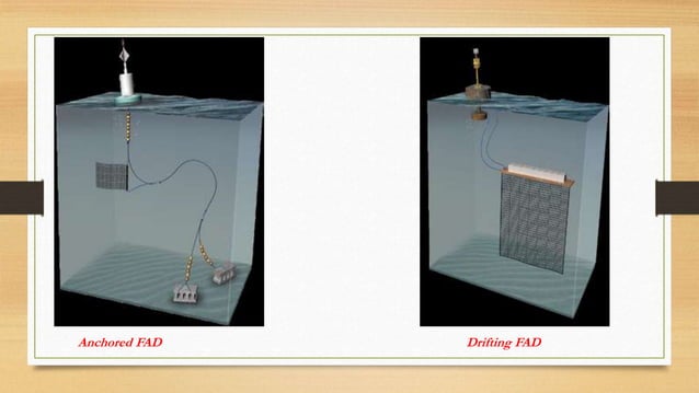 Fish aggrigrating devices(fad) | PPTX
