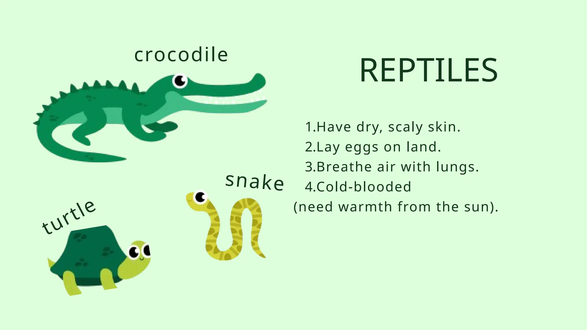 Fish, Amphibias, Reptiles, Mammals, Birds.pptx