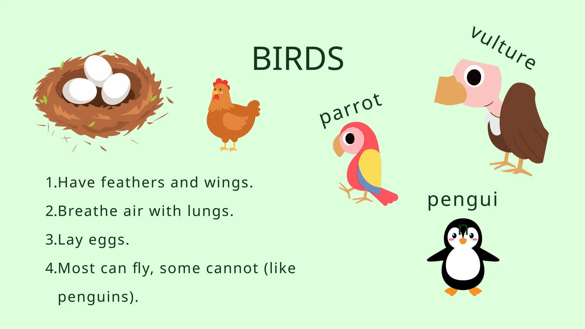 Fish, Amphibias, Reptiles, Mammals, Birds.pptx