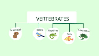 Fish, Amphibias, Reptiles, Mammals, Birds.pptx