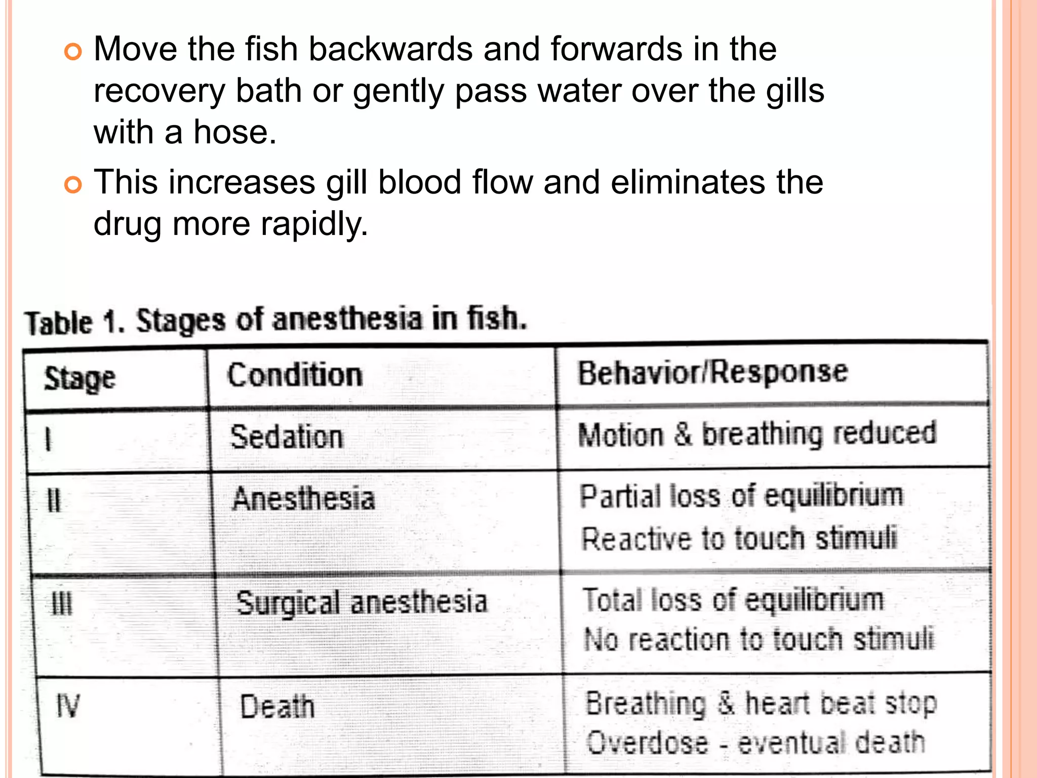 Fish anaesthetics . | PPTX