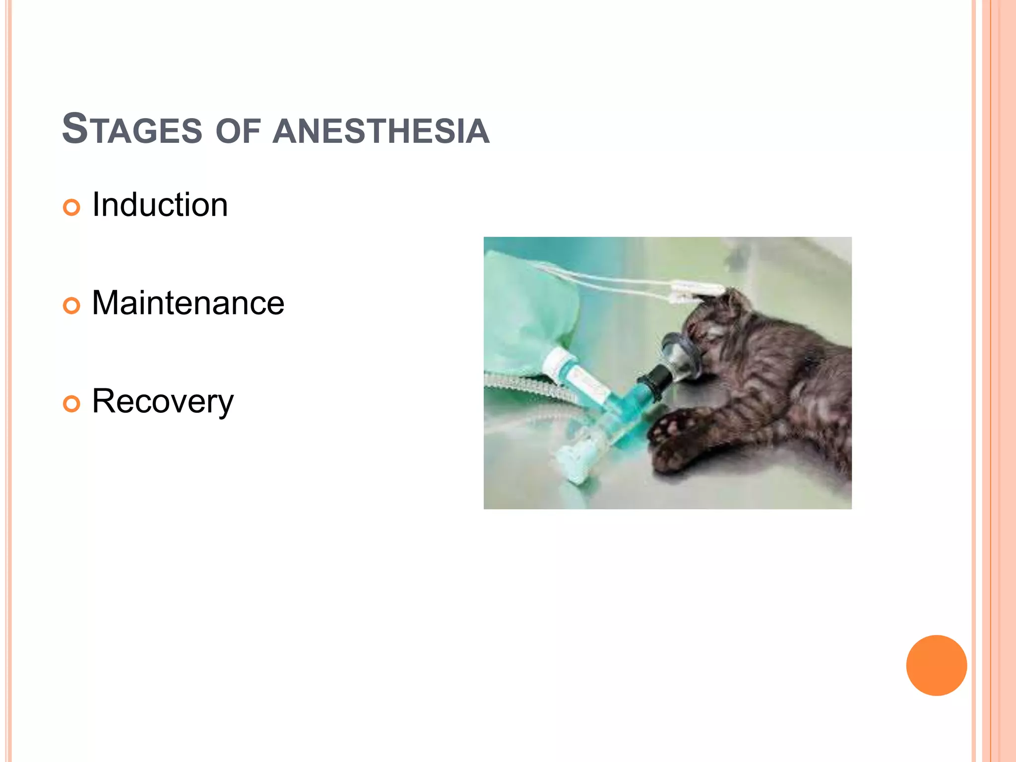 Fish anaesthetics . | PPTX