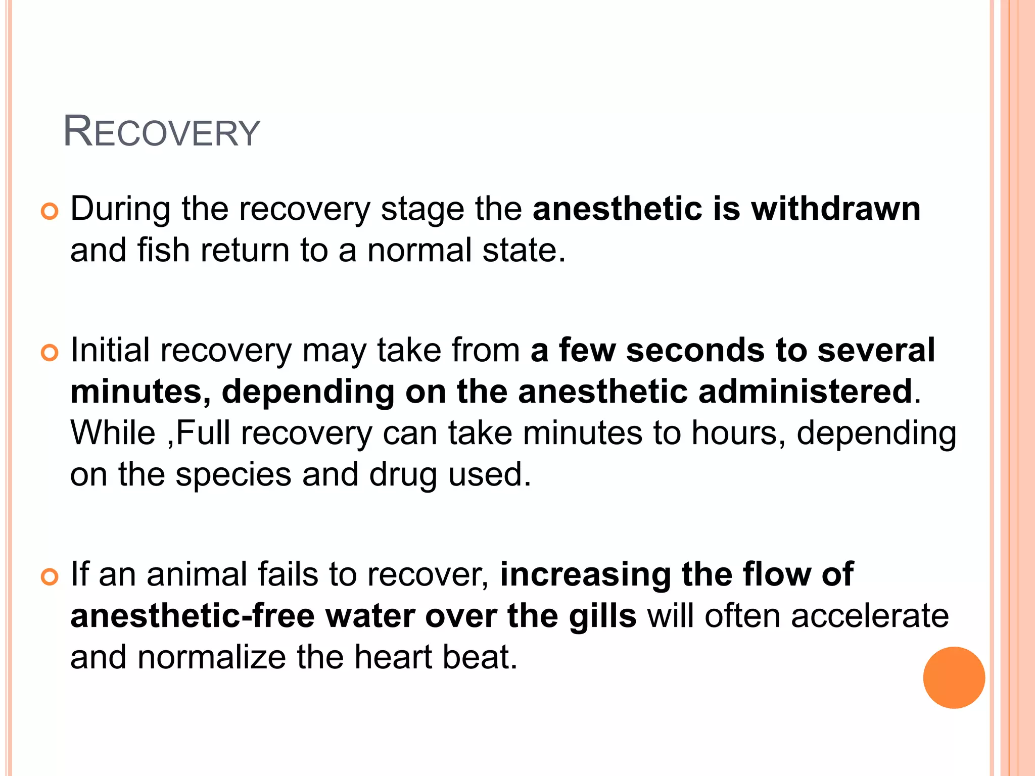 Fish anaesthetics . | PPTX