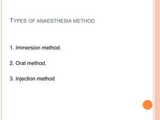 Fish anaesthetics . | PPTX