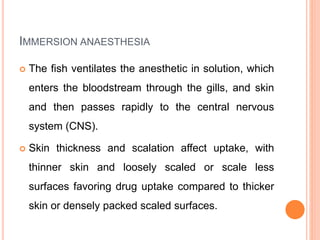 Fish anaesthetics . | PPTX