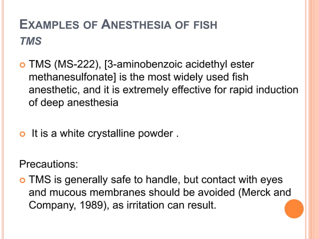 Fish anaesthetics . | PPTX