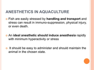Fish anaesthetics . | PPTX
