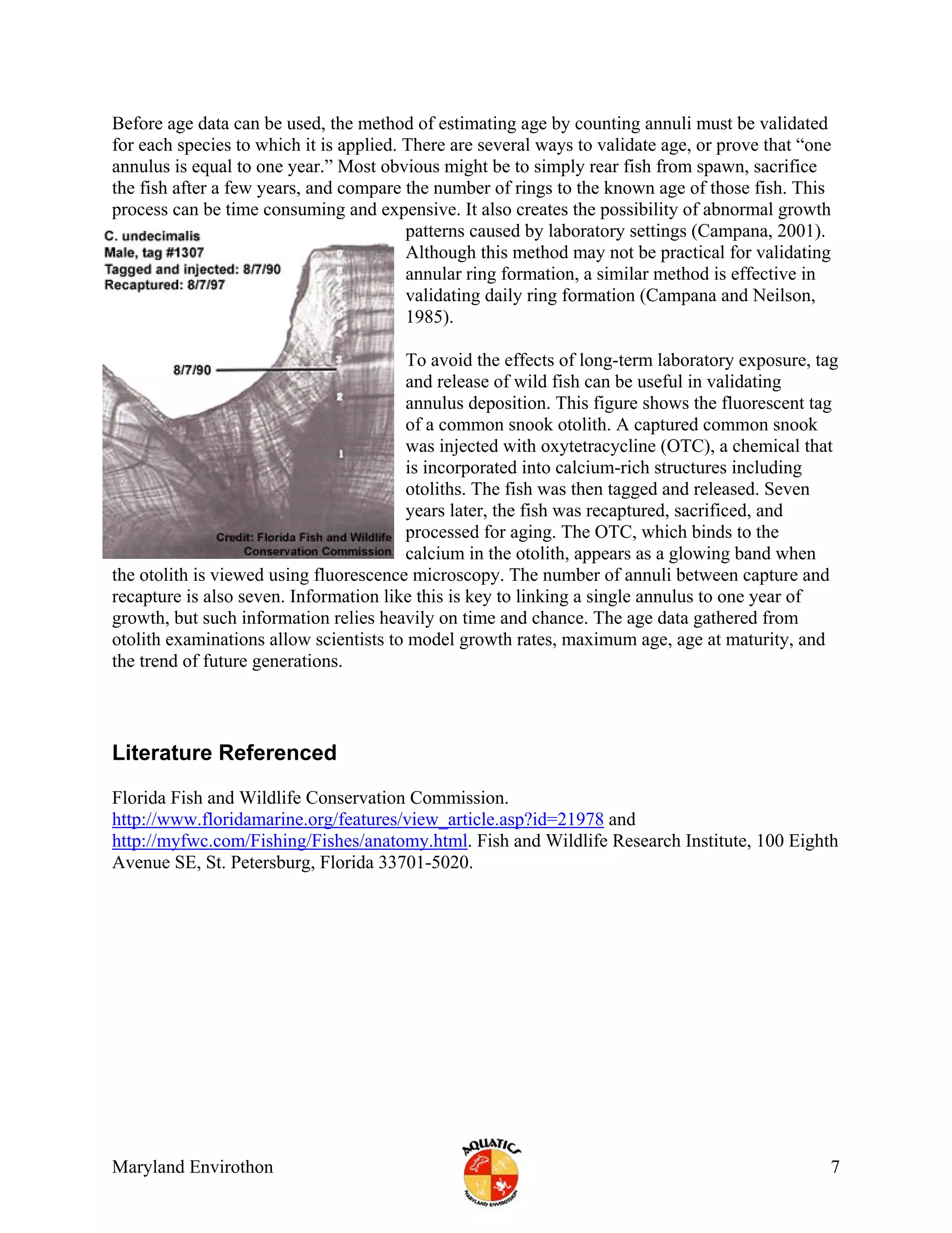 Fish anatomy | PDF