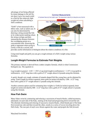 Fish anatomy | PDF