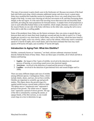 Fish anatomy | PDF