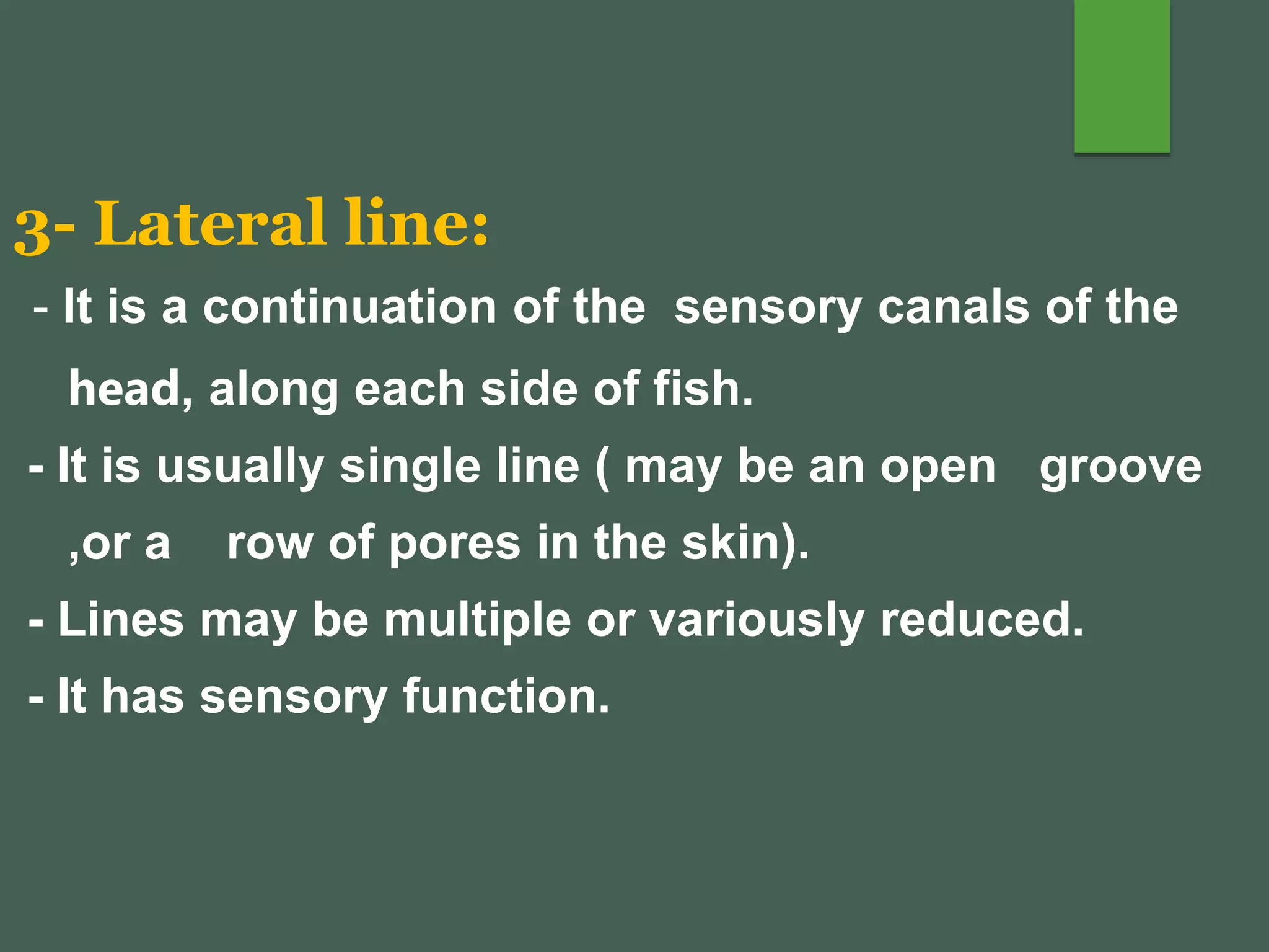 Anatomy of External Organs of the Fishes | PPTX