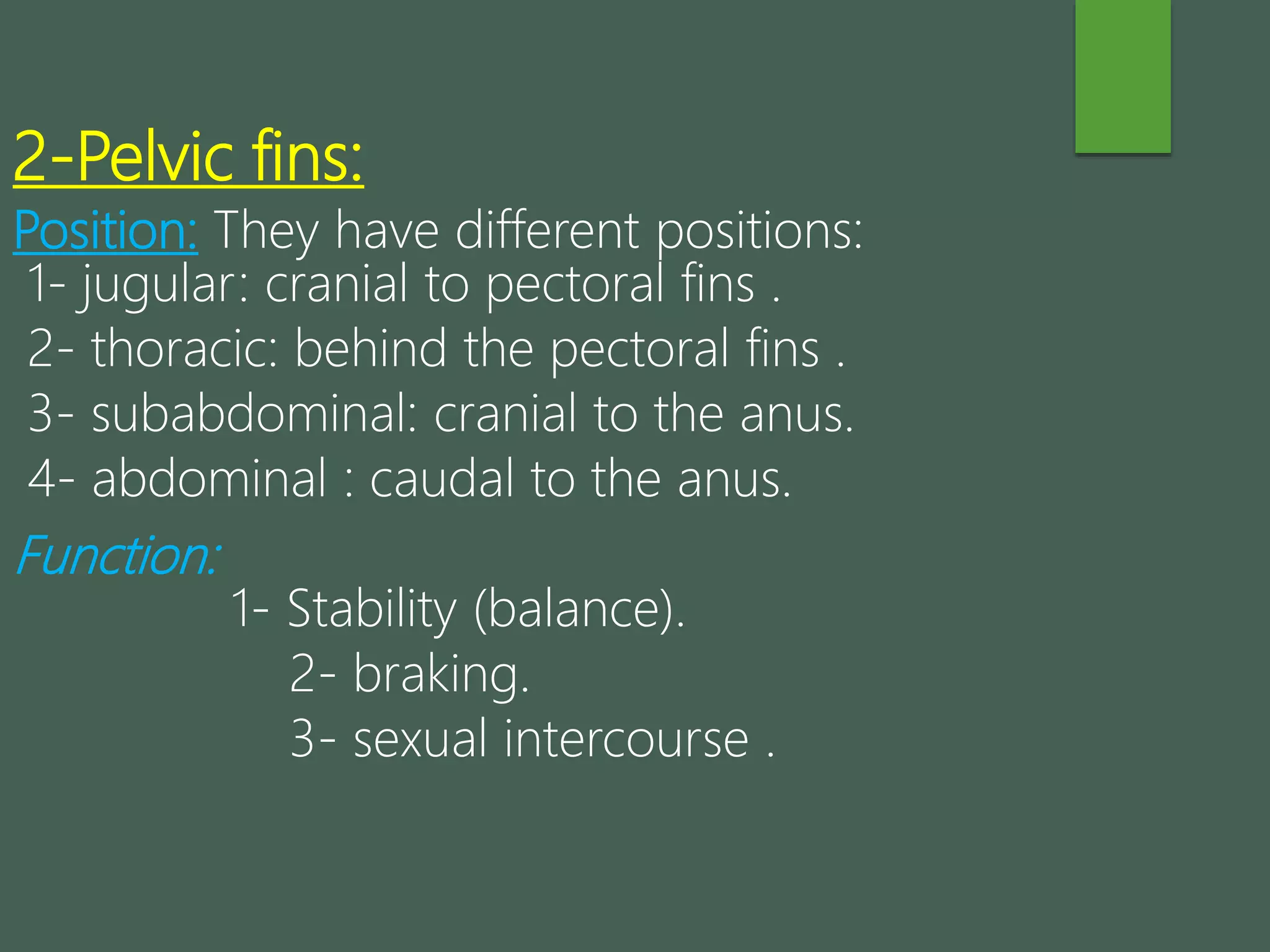 Anatomy of External Organs of the Fishes | PPTX