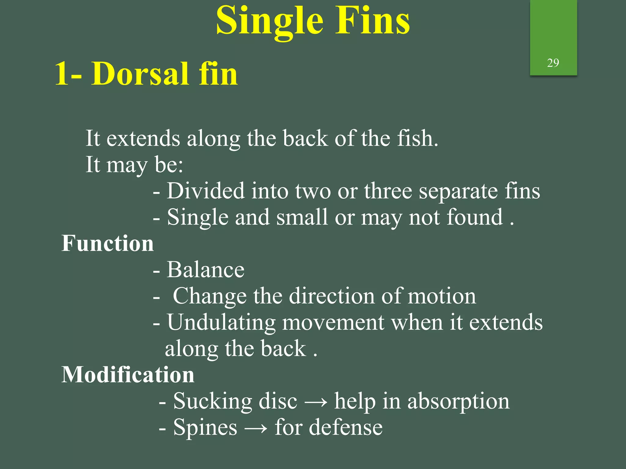 Anatomy of External Organs of the Fishes | PPTX