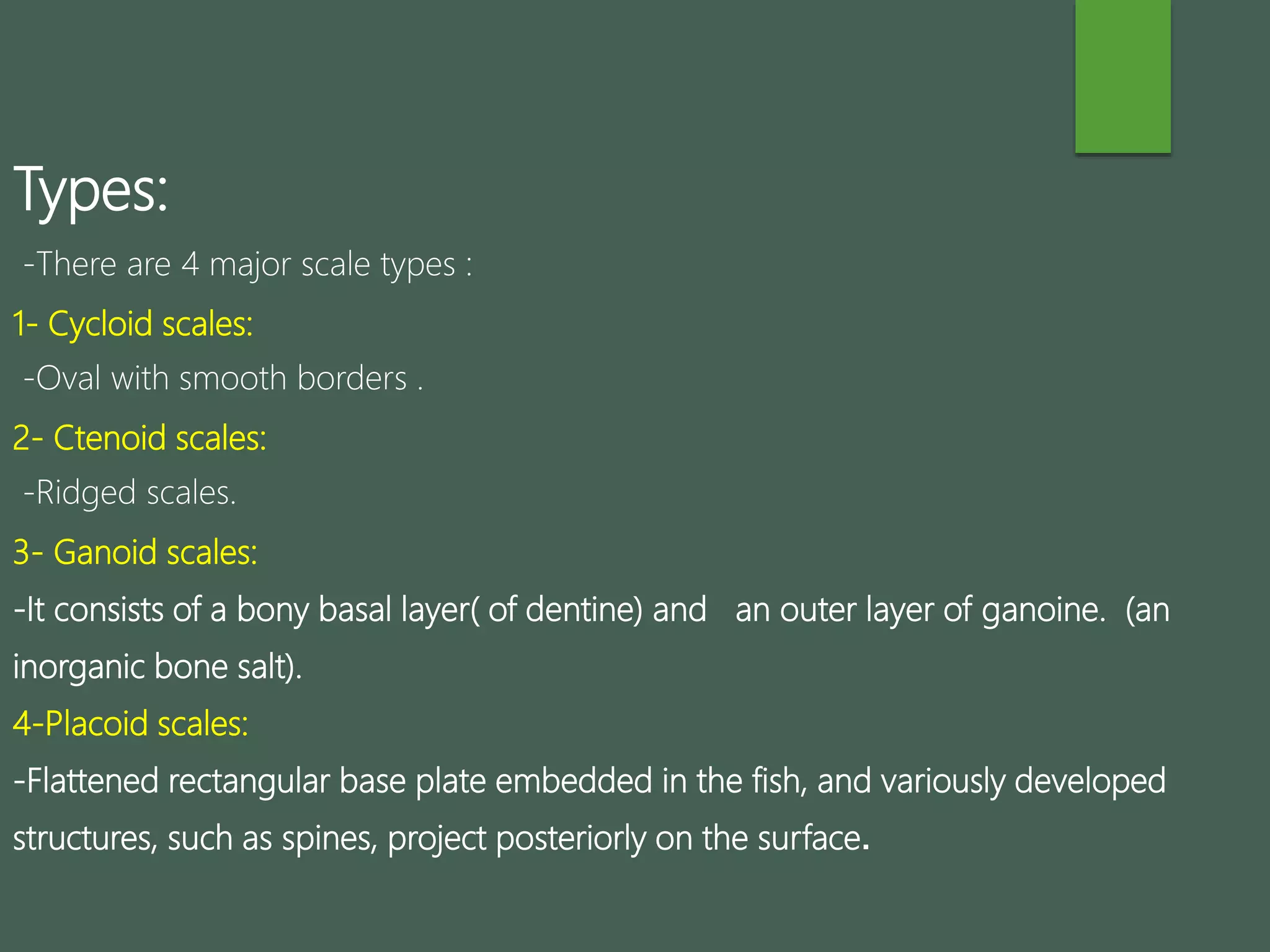 Anatomy of External Organs of the Fishes | PPTX