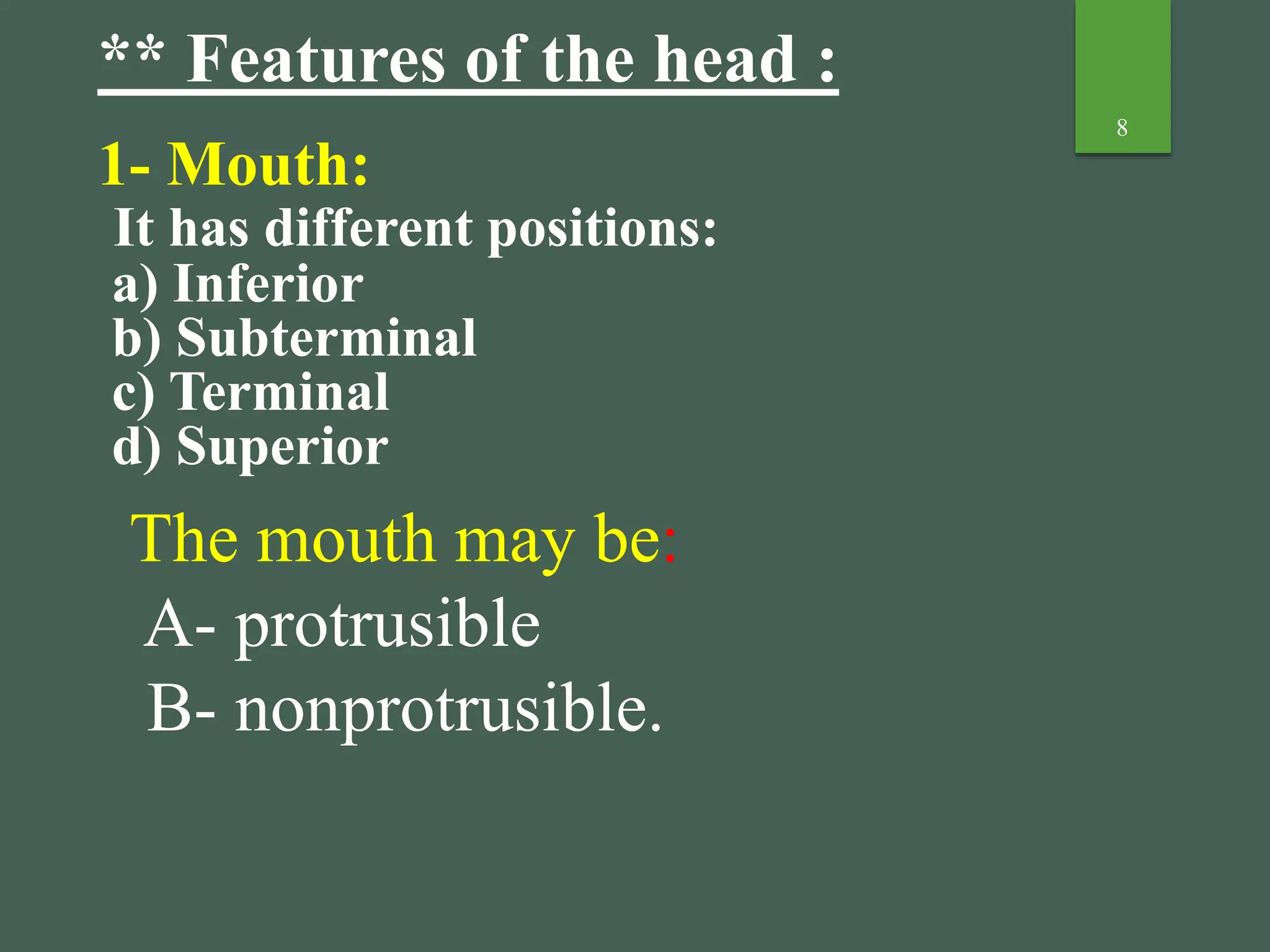 Anatomy of External Organs of the Fishes | PPTX