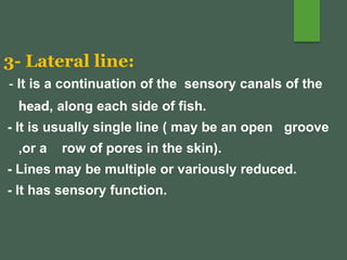 Anatomy of External Organs of the Fishes | PPTX