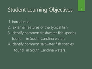 Anatomy of External Organs of the Fishes | PPTX