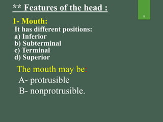 Anatomy of External Organs of the Fishes | PPTX