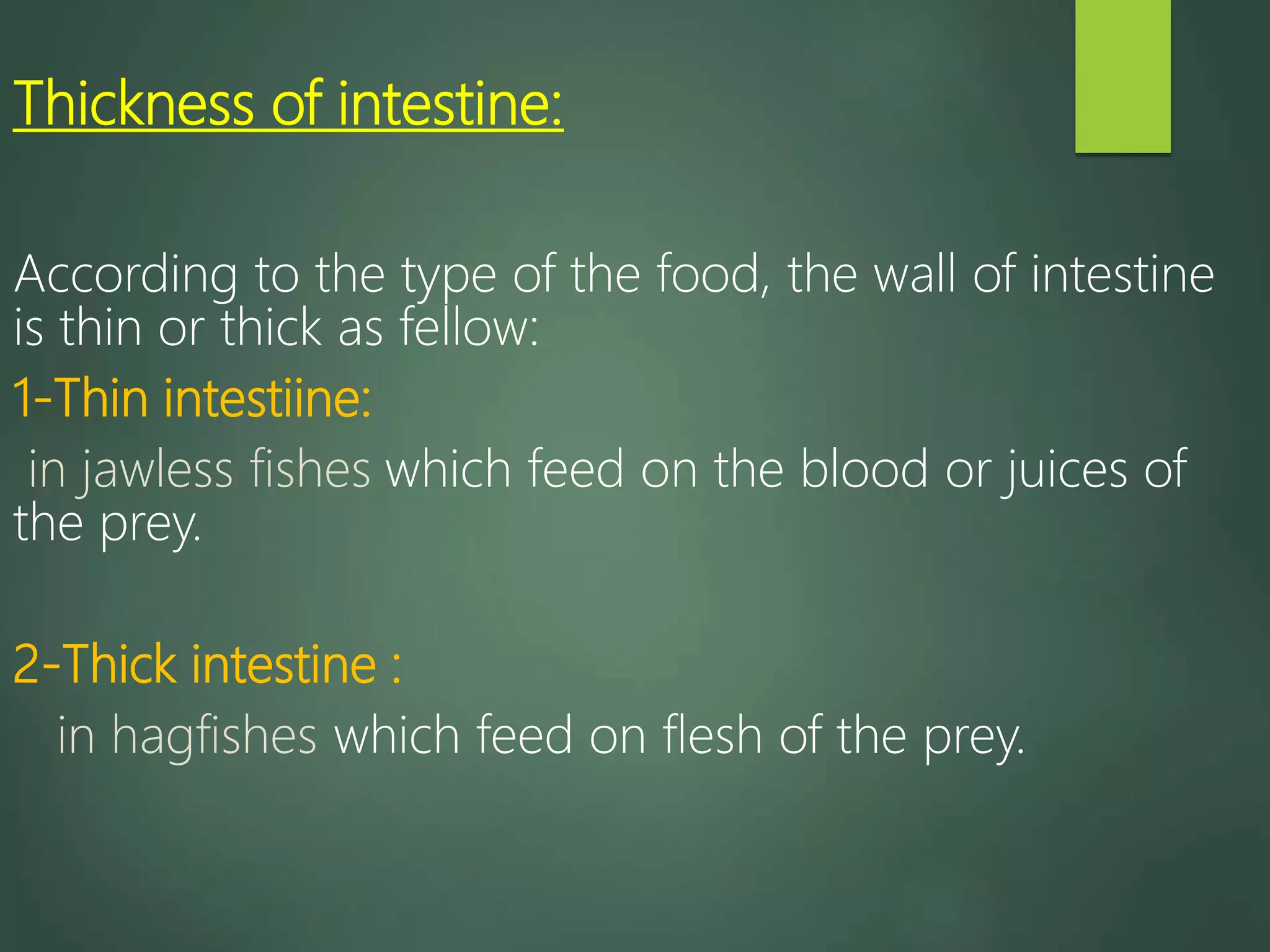 Veterinary Anatomy of Internal Organs of the Fishes | PPT