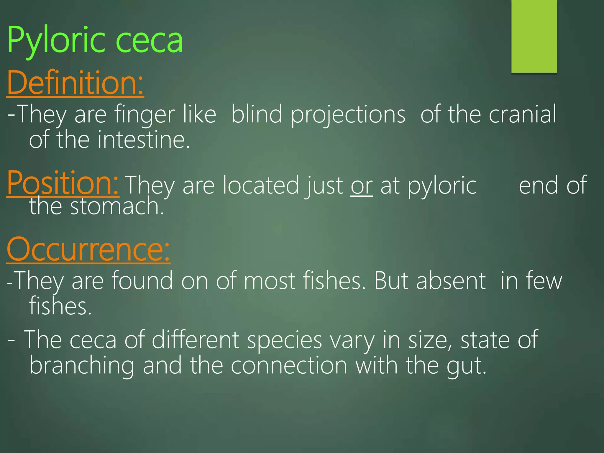 Veterinary Anatomy of Internal Organs of the Fishes | PPT