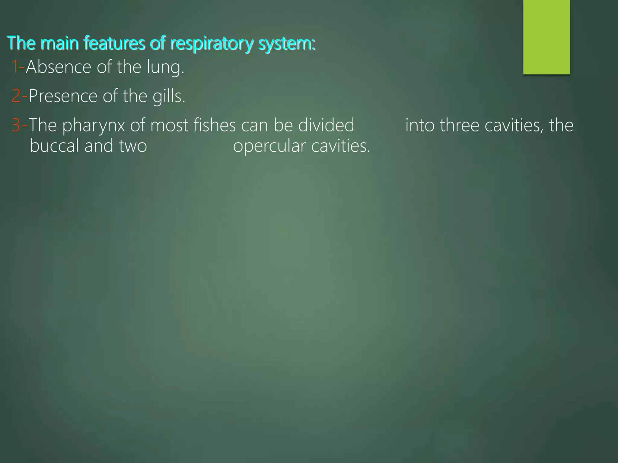 Veterinary Anatomy of Internal Organs of the Fishes | PPT