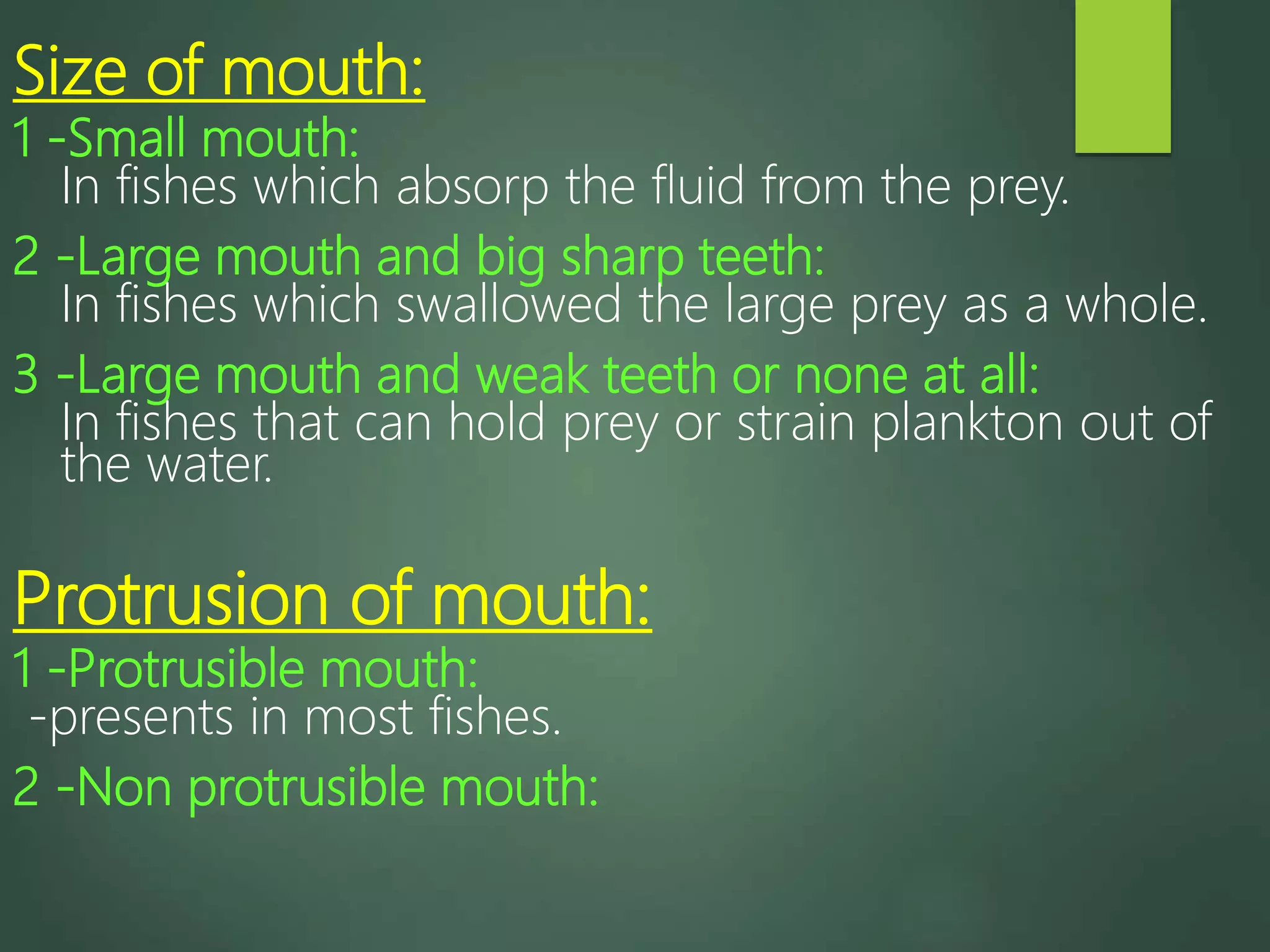 Veterinary Anatomy of Internal Organs of the Fishes | PPT