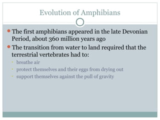 Fish and amphibians notes | PPT