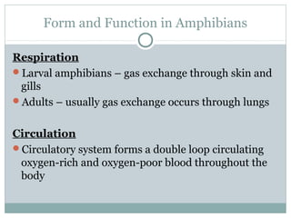 Fish and amphibians notes | PPT