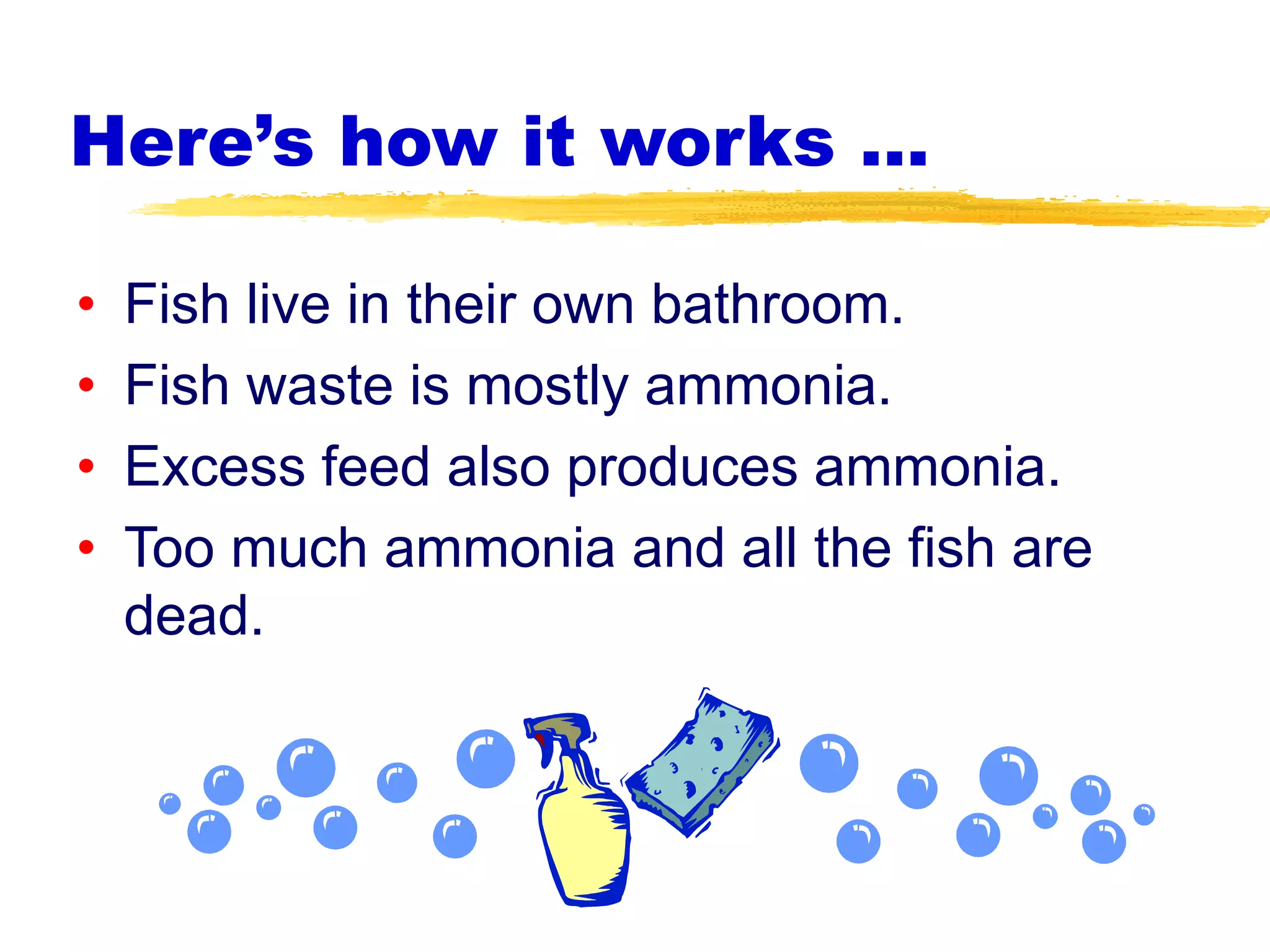 Fish and Bacteria.ppt