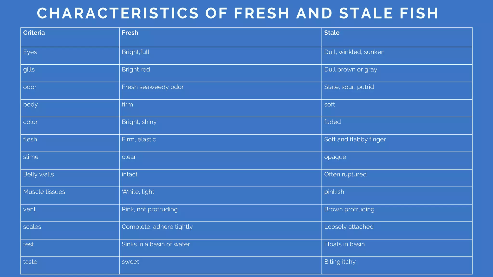 Fish and Fish Cookery.pdf