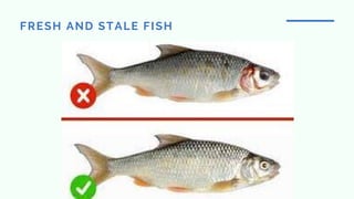 Fish and Fish Cookery.pdf