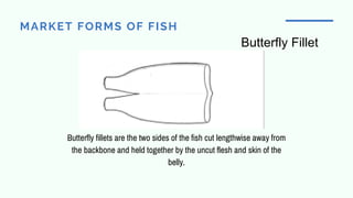 Fish and Fish Cookery.pdf