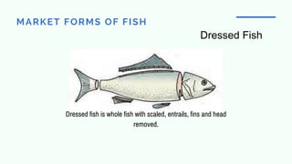 Fish and Fish Cookery.pdf