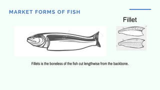 Fish and Fish Cookery.pdf