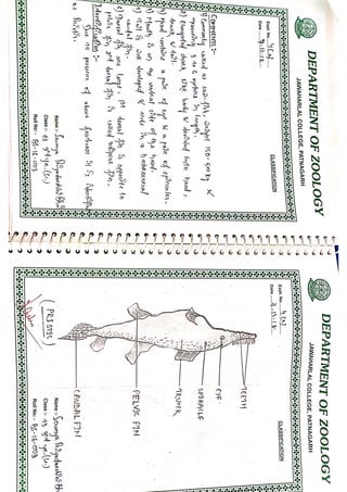 fish and fisheries.pdf | Fish and Aquariums | Pets