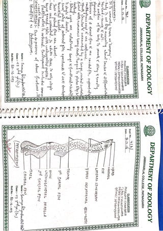 fish and fisheries.pdf