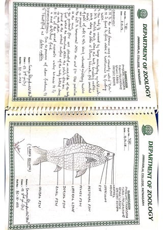 fish and fisheries.pdf