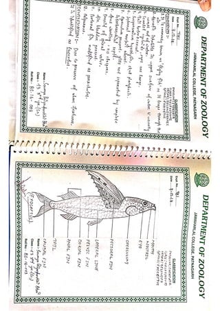 fish and fisheries.pdf | Fish and Aquariums | Pets