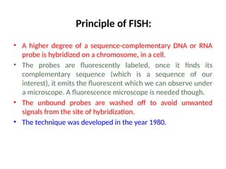 techniques of FISH and GISH in crop improvement .pptx
