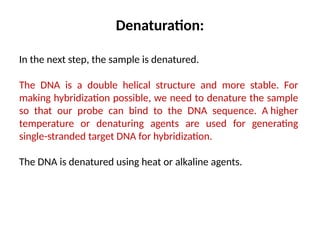 Fluorescent In Situ Hybridization and Genome In Situ Hybridization.pptx