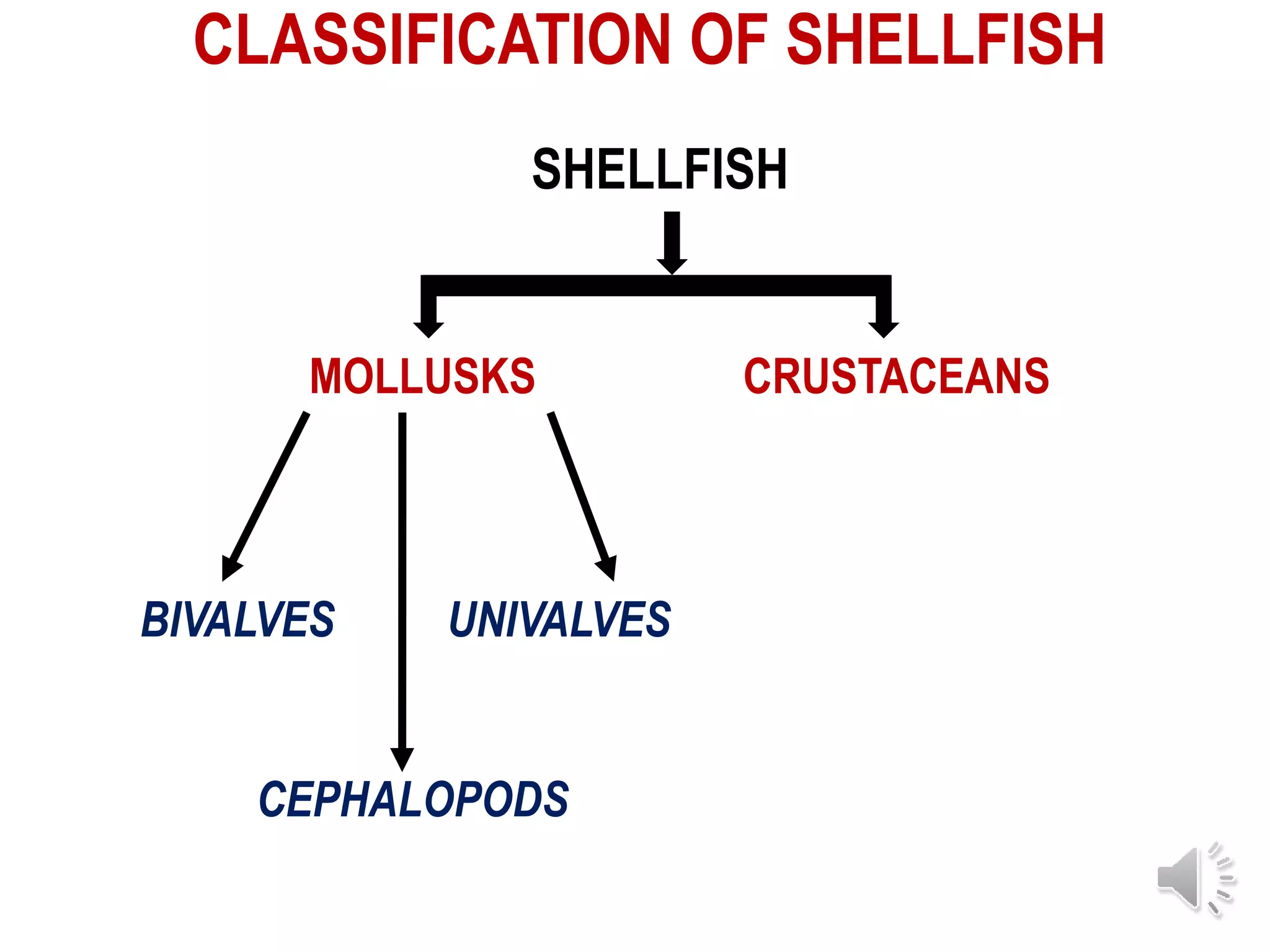 Fish and seafood part 2 | PPTX