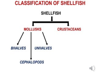 Fish and seafood part 2 | PPTX