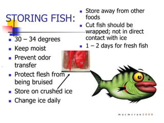 Fish and shelfish | PPTX