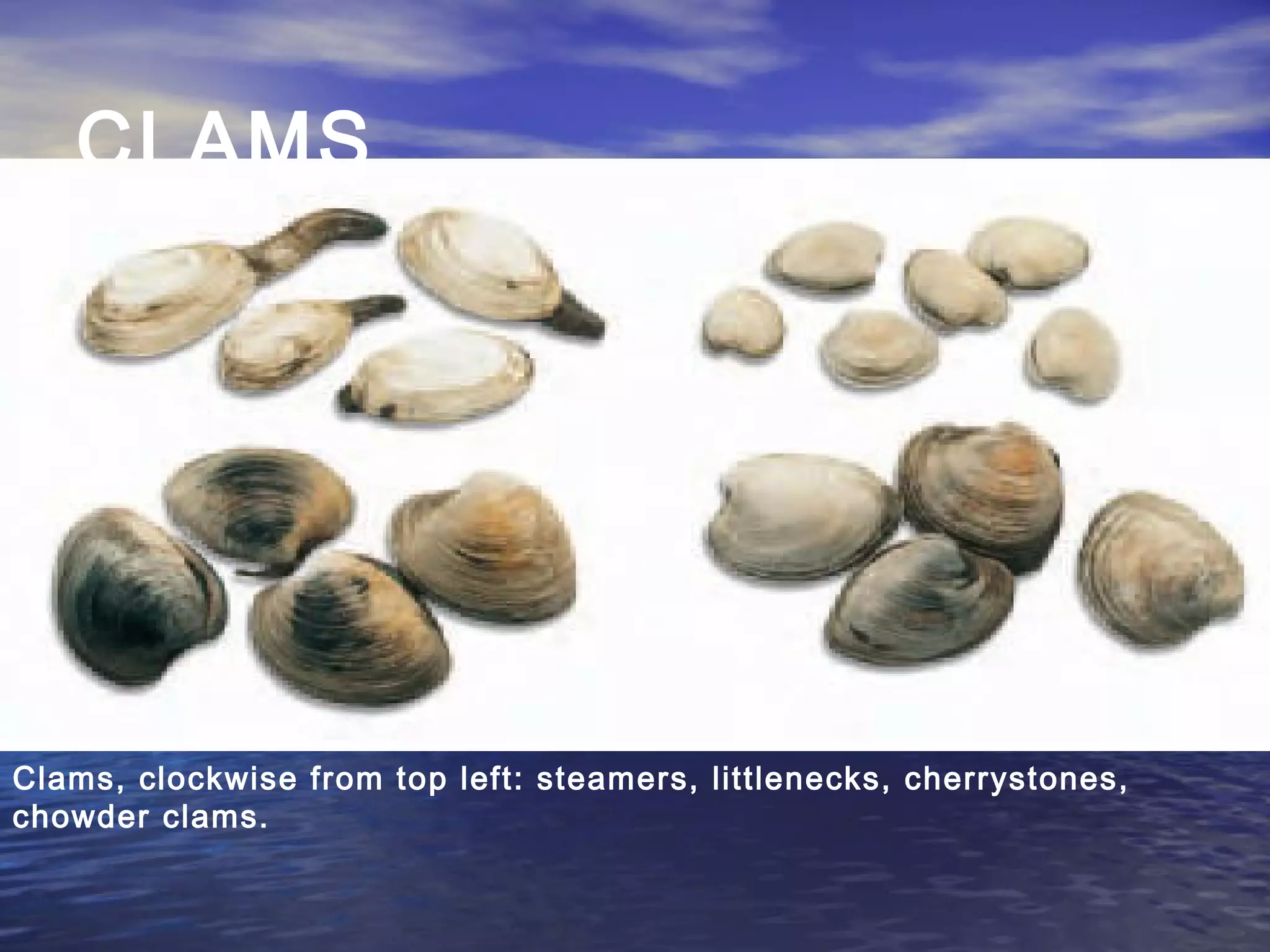 Fish and shellfish | PPT