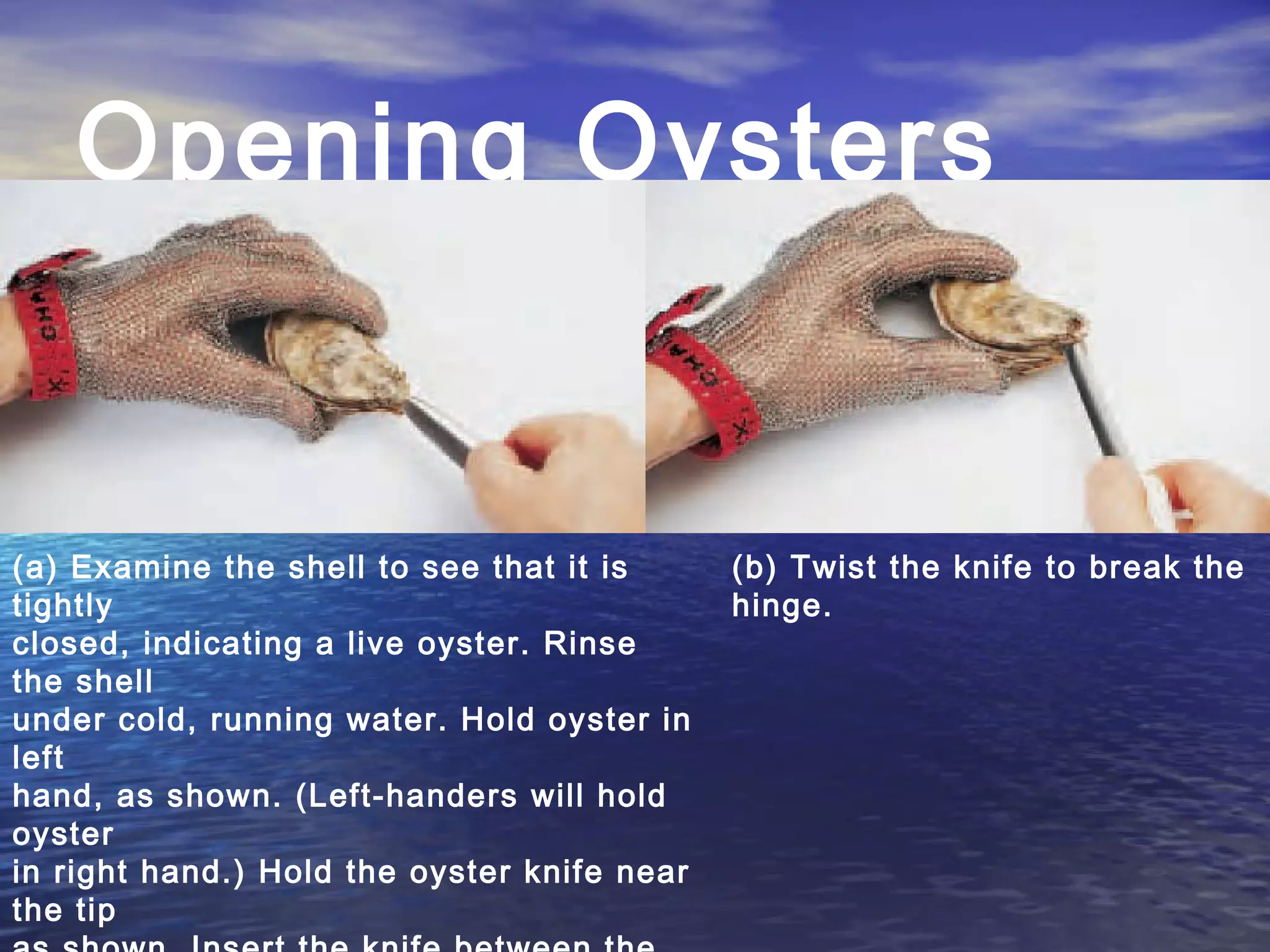 Fish and shellfish | PPT