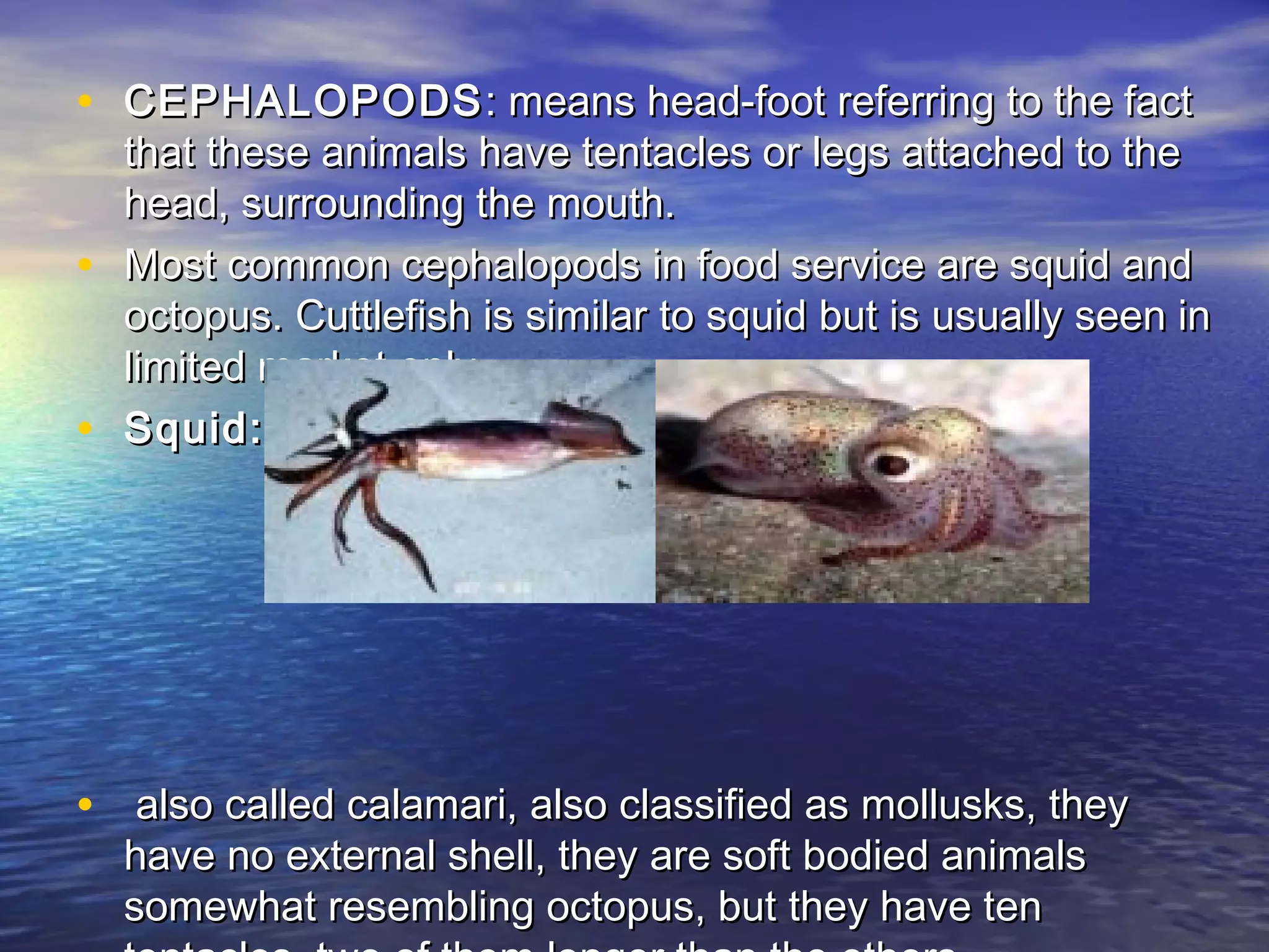 Fish and shellfish | PPT