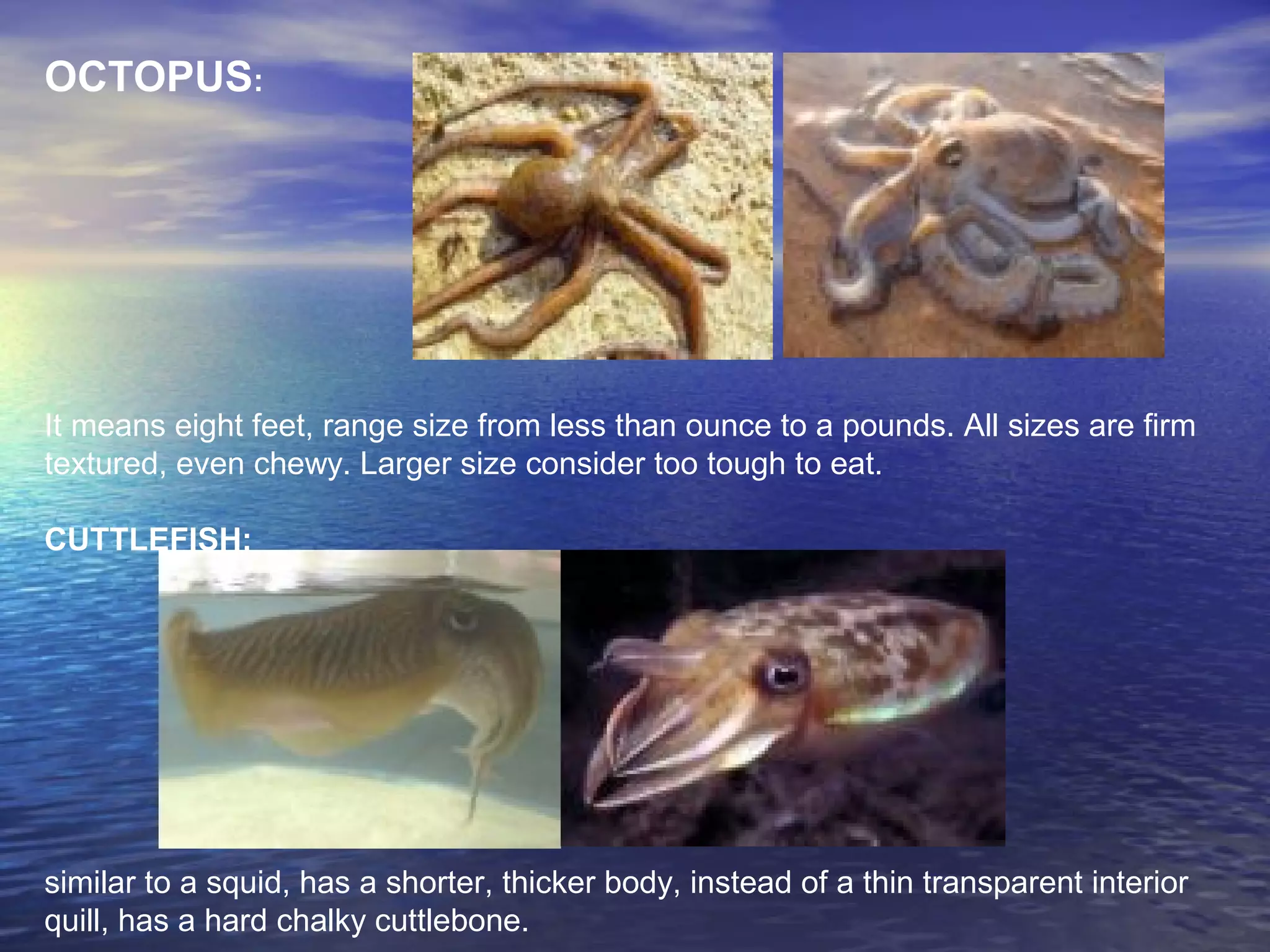 Fish and shellfish | PPT